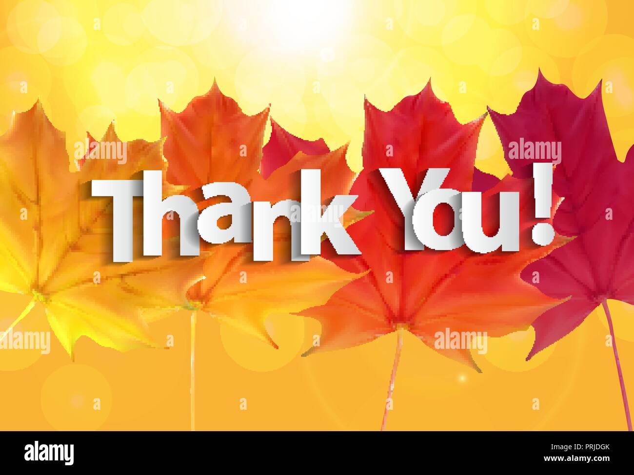 Paper art of thank you lettering background. Vector Illustration Stock Vector Image & Art - Alamy