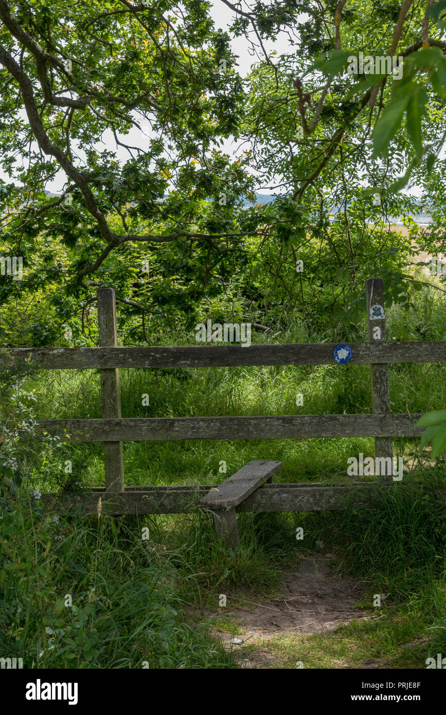 Cattle Grids Stock Photos & Cattle Grids Stock Images - Alamy