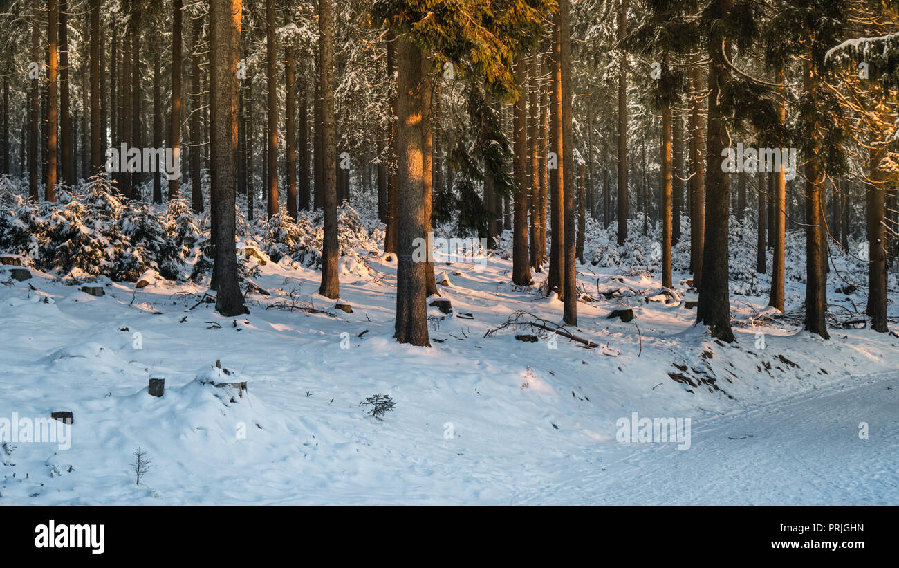 Schmitten germany hi-res stock photography and images - Alamy