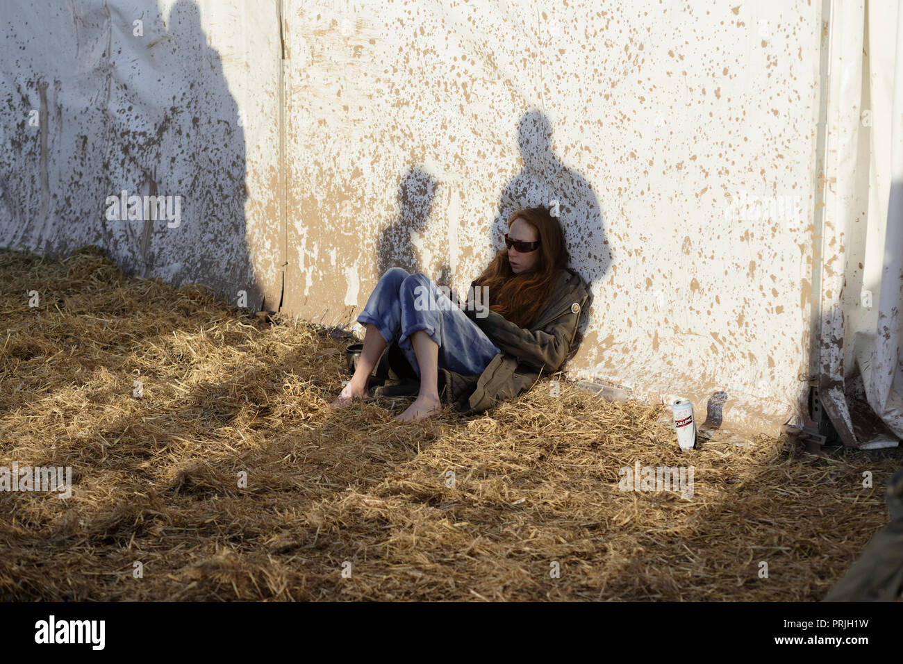 Maker Heights music Festival, Cornwall, UK Stock Photo - Alamy