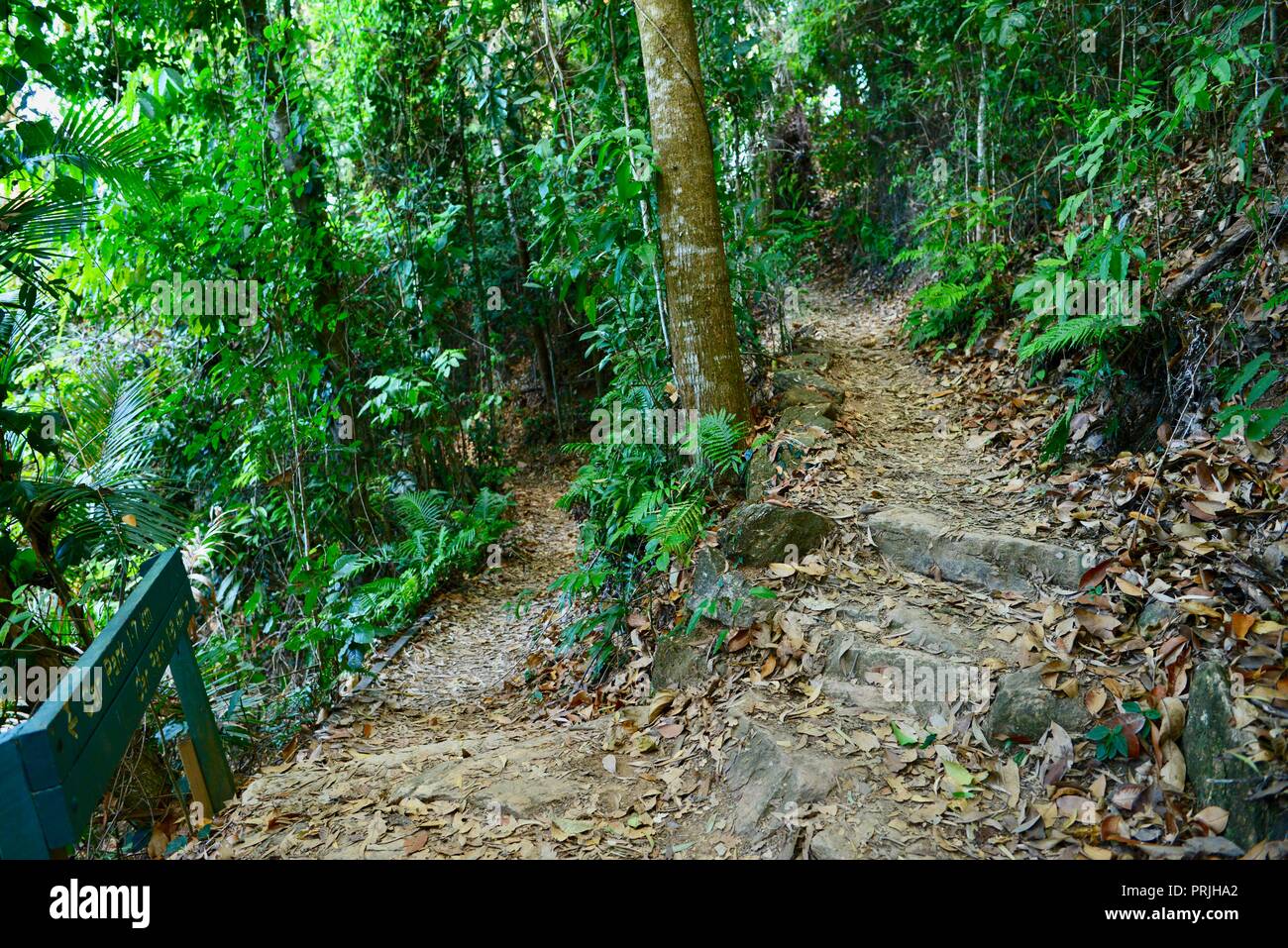 Clump mountain national park, Garners Beach Rd, Garners Beach QLD 4852 ...