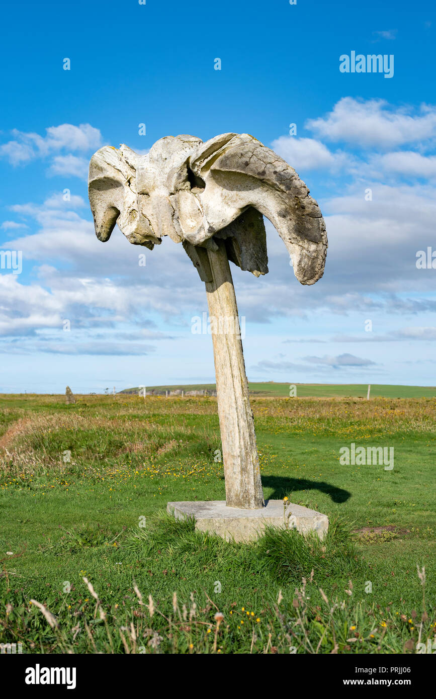 Sculpture from whale bones of a whale, called Birsay Whalebone, Birsay ...