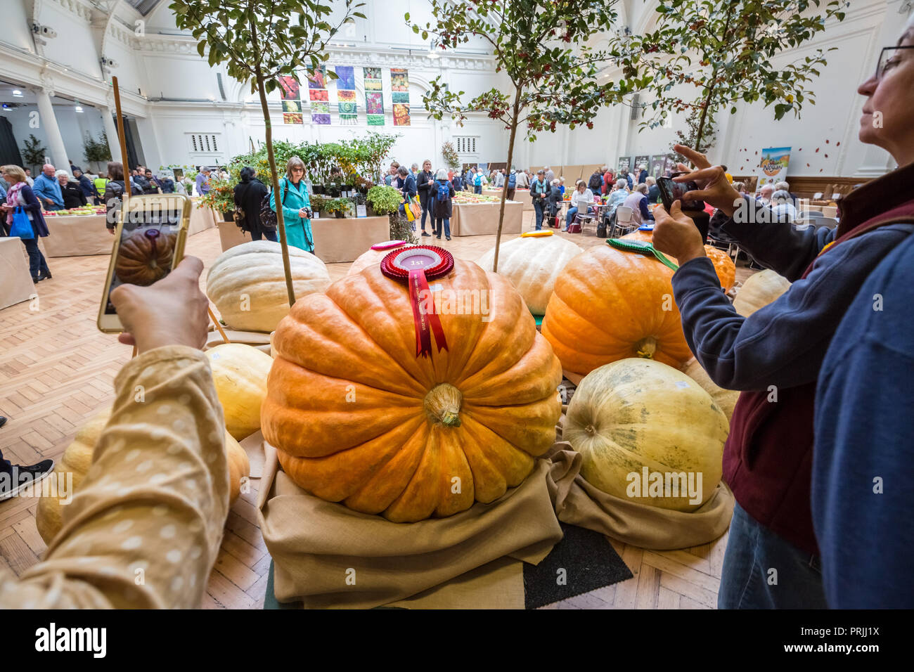 London, UK. 2nd Oct 2018. RHS Harvest Festival Show. Credit: Guy ...