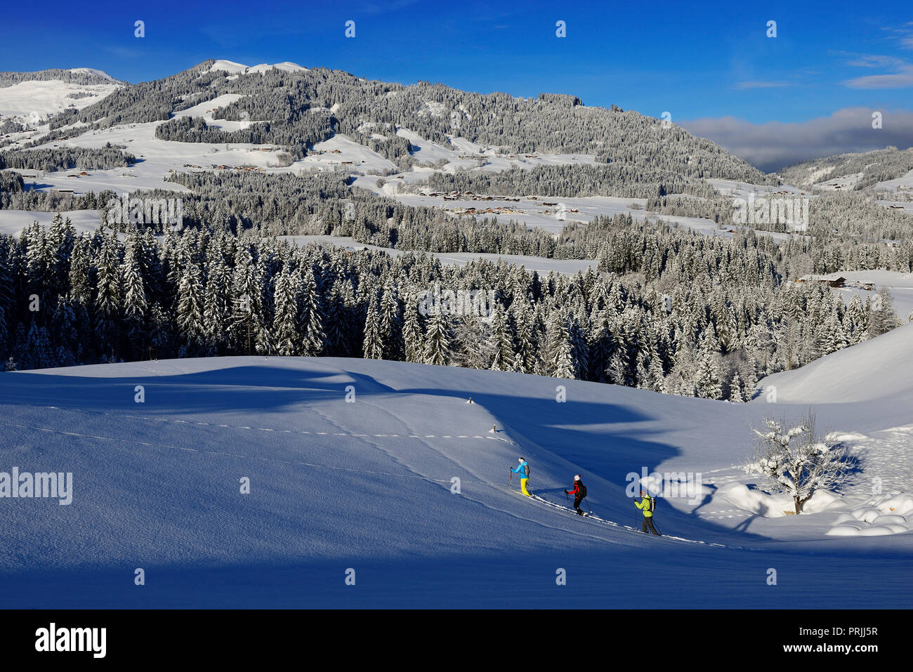 Snowshoe hikers, Gruberberg, Hopfgarten, Kitzbüheler Alps, Tyrol ...