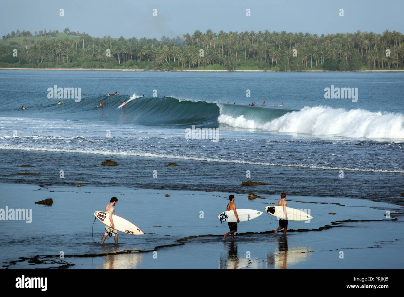 Surfing at Lagundri Bay on Nias island in Sumatra, Indonesia Stock ...