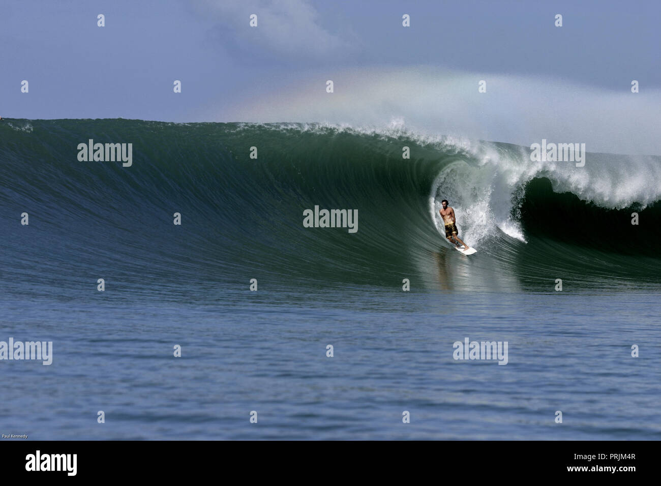 Surfer riding a large wave at Lagundri Bay, Nias, Sumatra, Indonesia ...