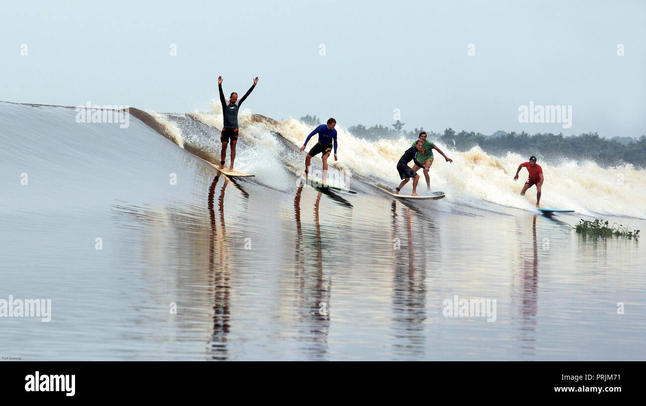 Group of surfers riding a wave on the Kampar river in Sumatra ...