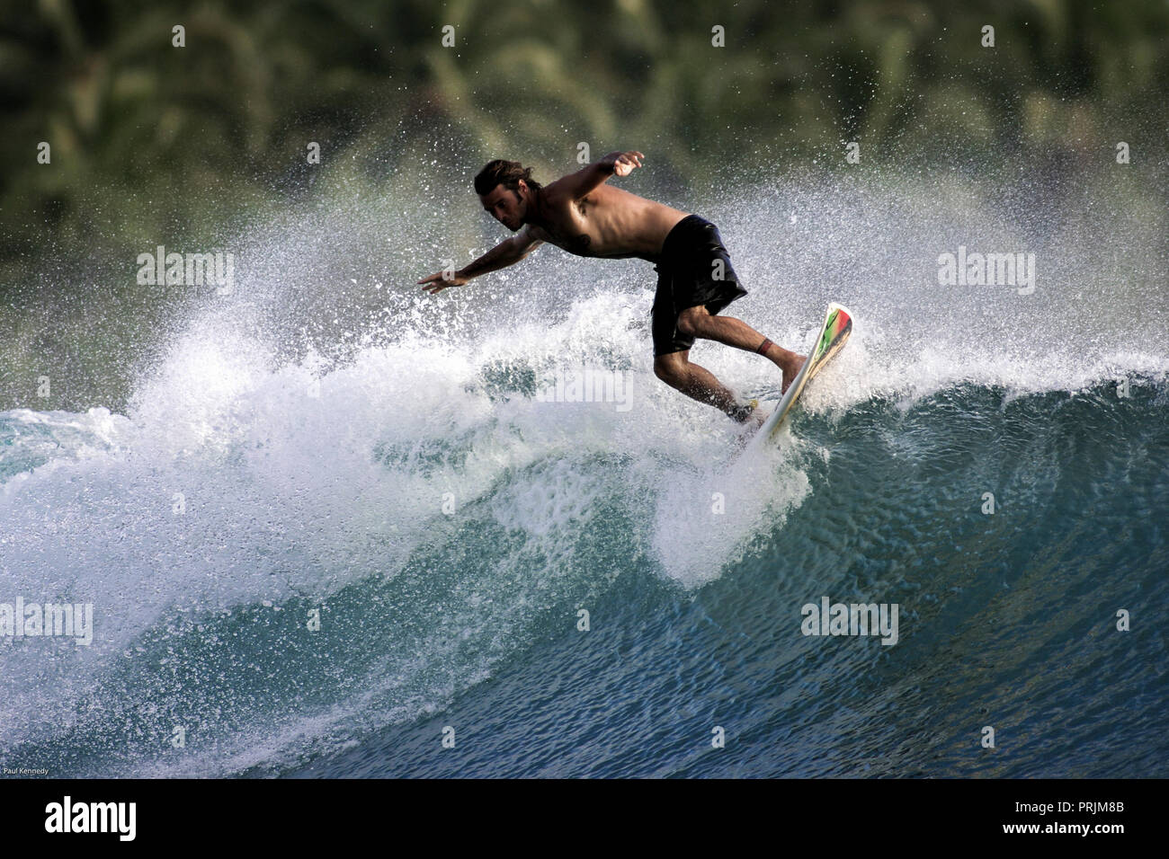 Surfing a tropical reef wave in the Mentawai islands Sumatra, Indonesia ...