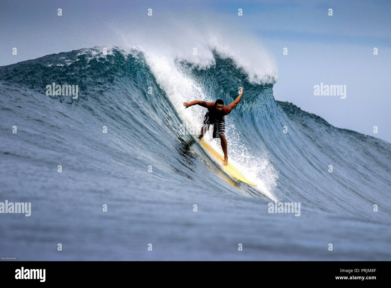Surfer riding a large blue surfing wave in the Mentawai Islands ...