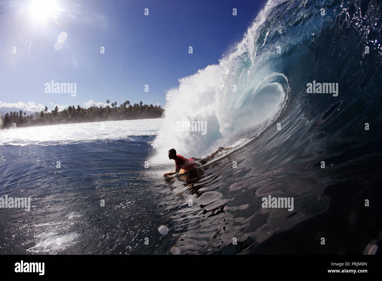 Reef Surfing Wallpaper