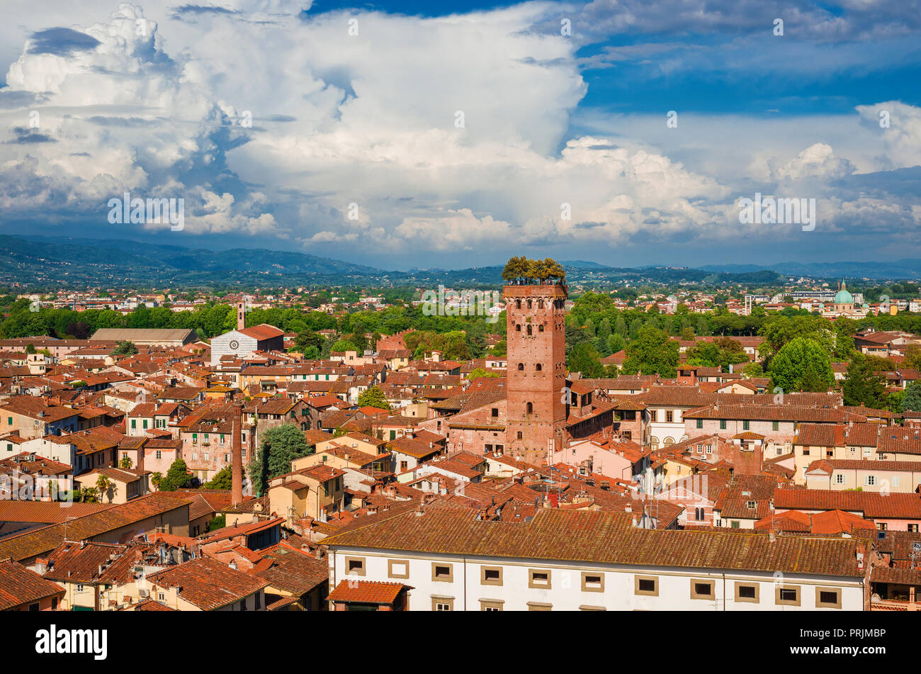 Lucca old historic center skyline with medieval towers and clouds Stock ...