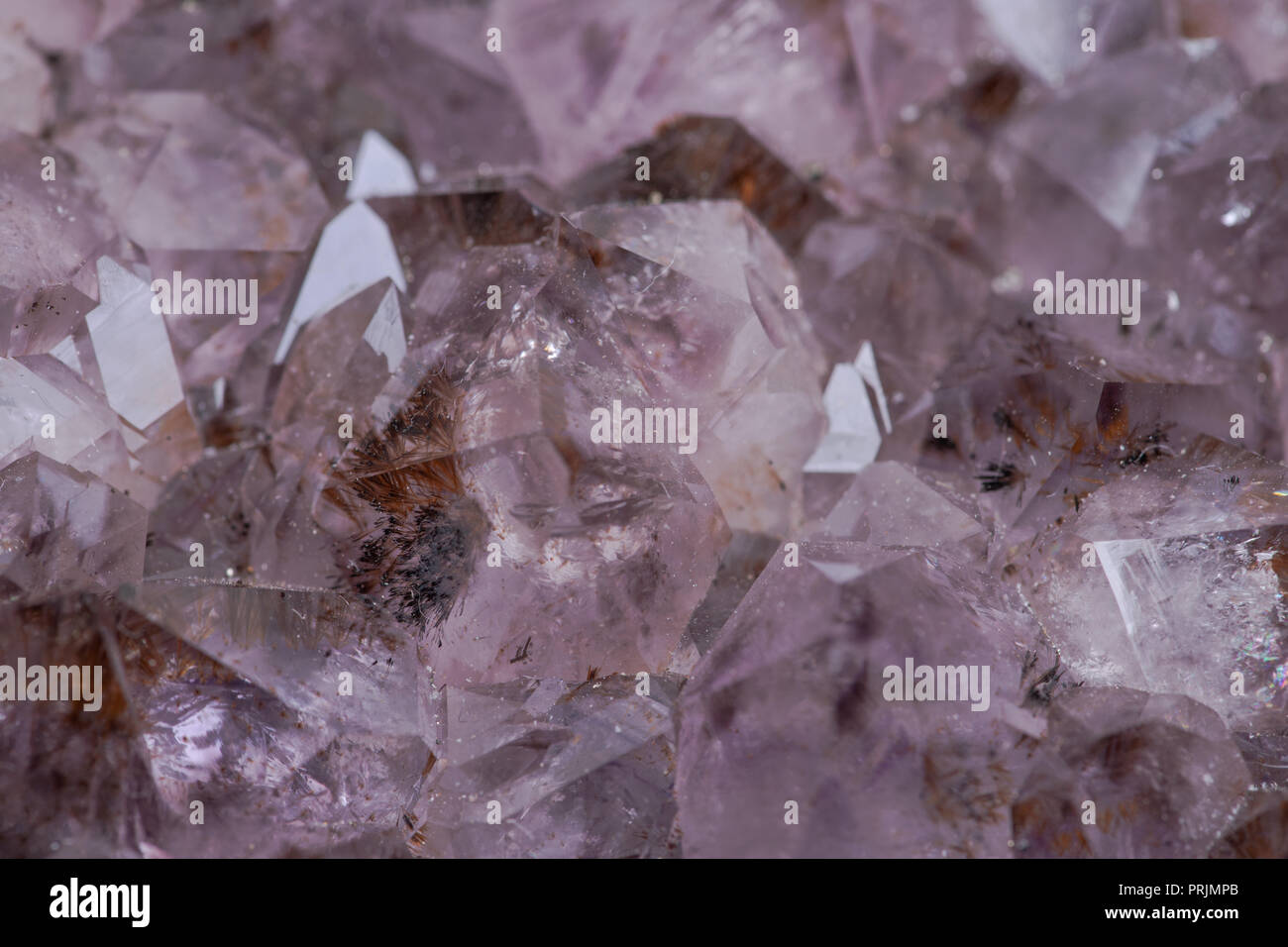 Macro shot of Amethyst natural crystal cluster with Goethite inclusions ...