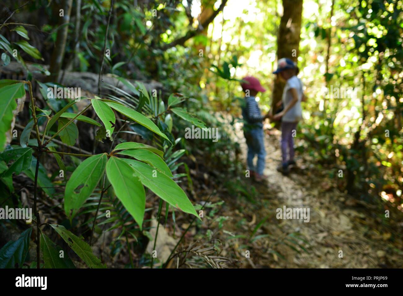 Clump mountain national park hi-res stock photography and images - Alamy