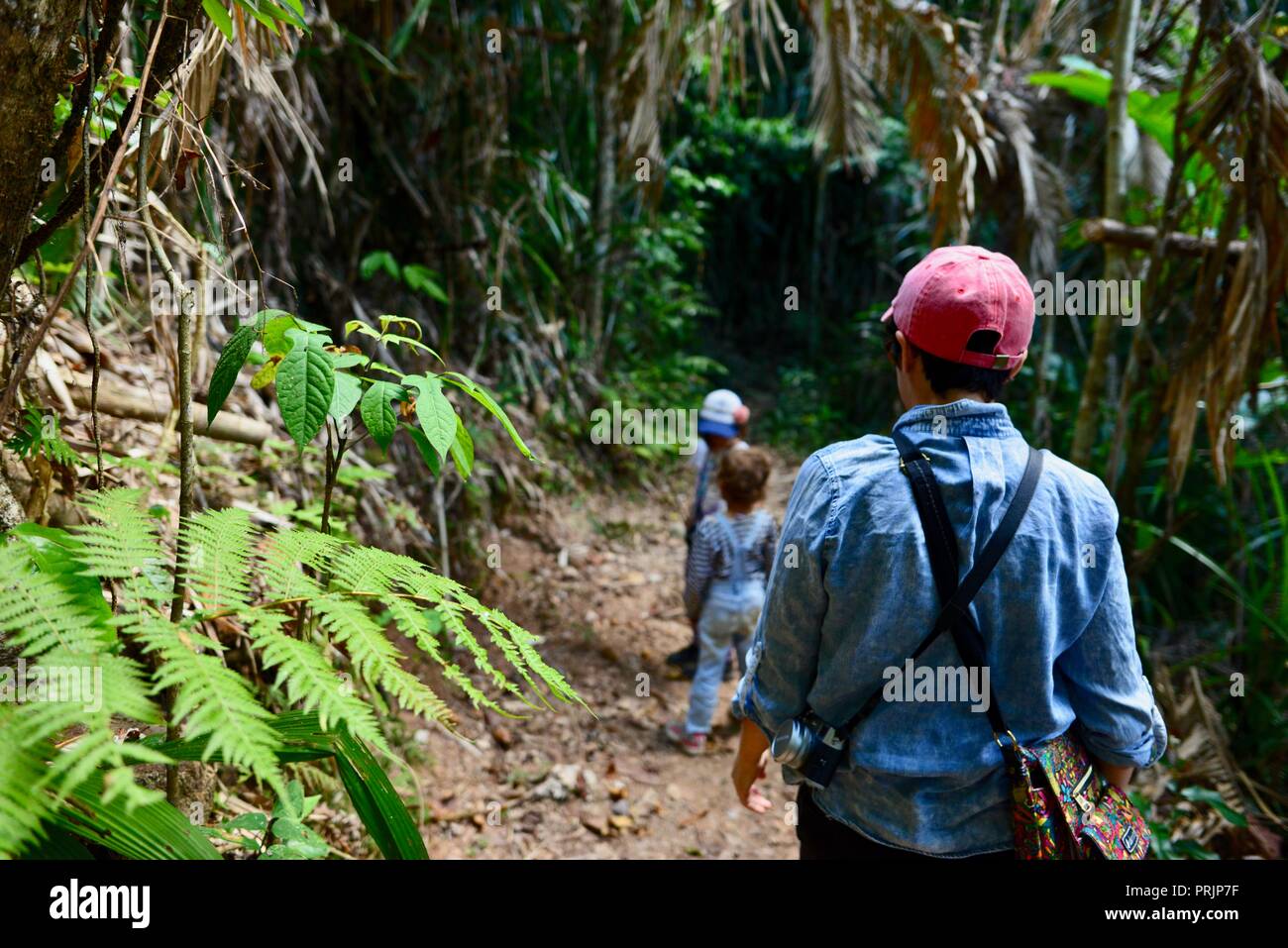 Clump mountain national park, Garners Beach Rd, Garners Beach QLD 4852 ...