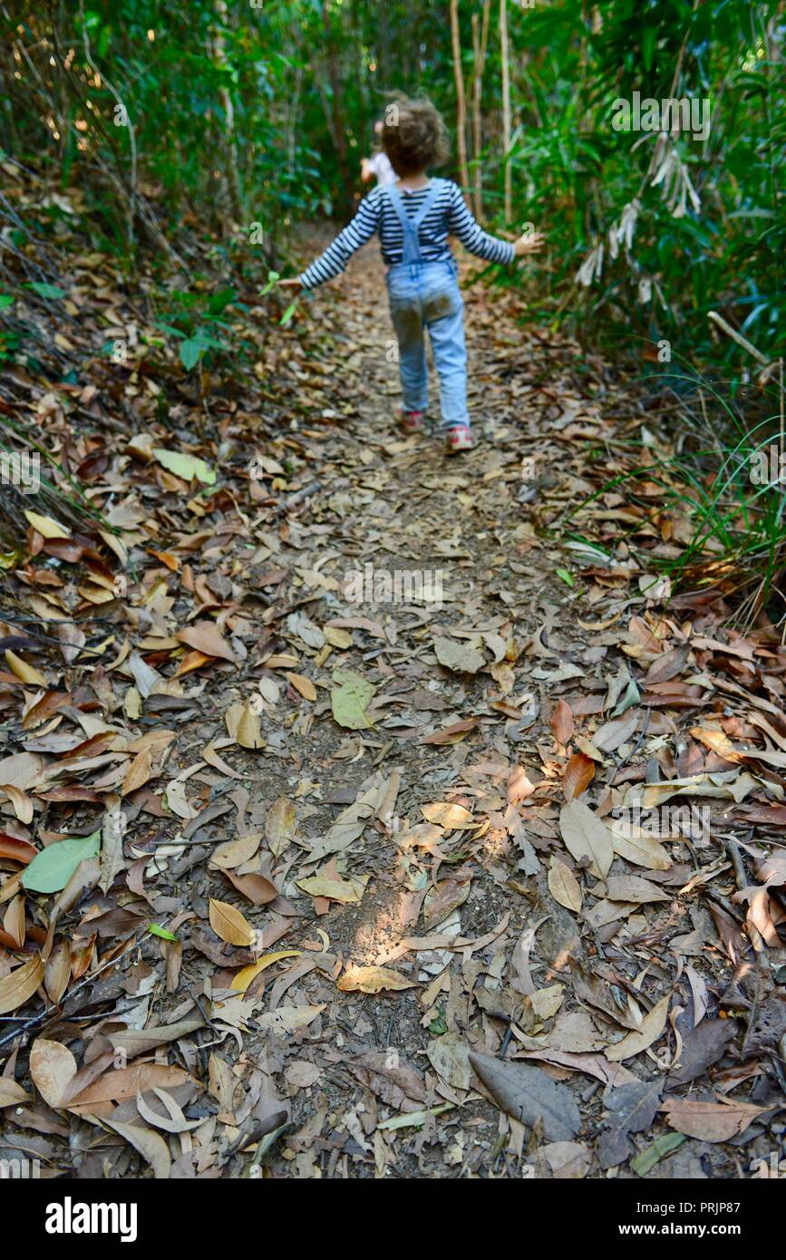 Clump mountain national park, Garners Beach Rd, Garners Beach QLD 4852 ...