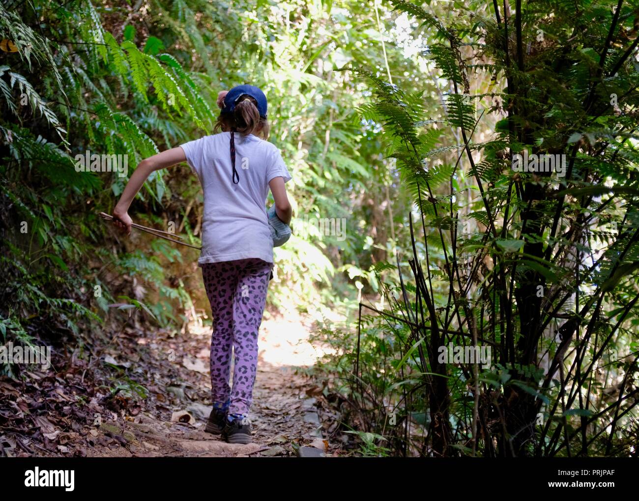 Clump mountain national park, Garners Beach Rd, Garners Beach QLD 4852 ...