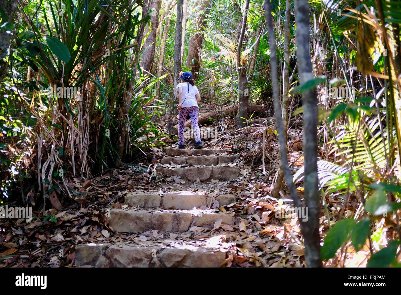 Clump mountain national park hi-res stock photography and images - Alamy