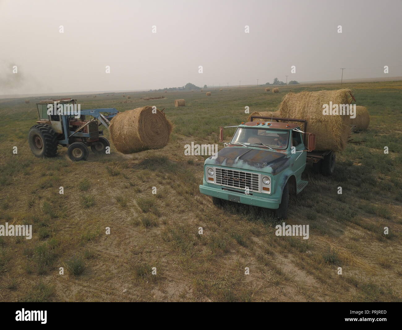 Loading Hay, Saskatchewan, Canada, Palliser Triangle, Brian Martin RMSF ...