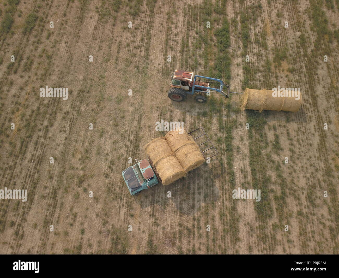 Loading Hay, Saskatchewan, Canada, Palliser Triangle, Brian Martin RMSF ...
