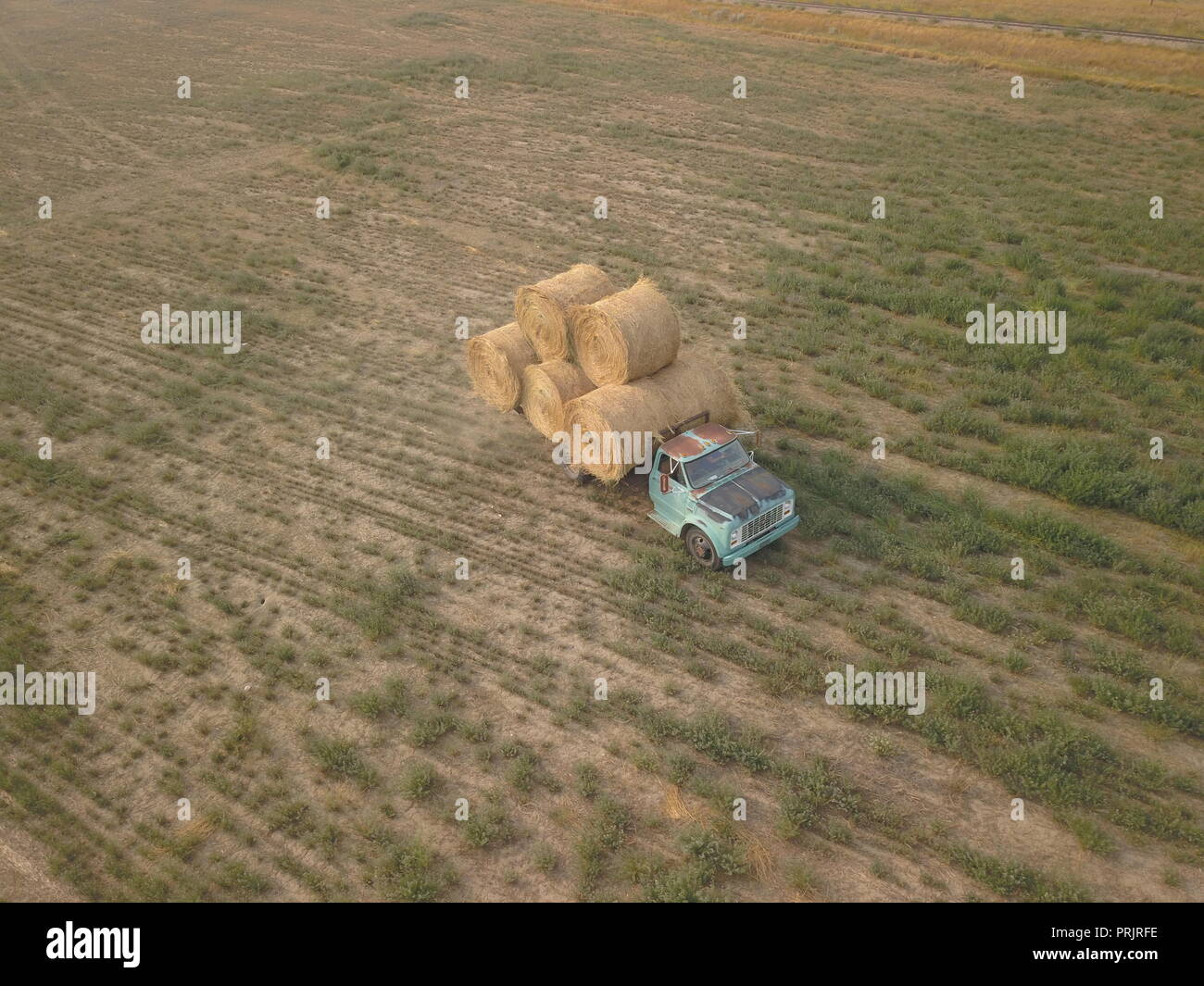 Loading Hay, Saskatchewan, Canada, Palliser Triangle, Brian Martin RMSF ...