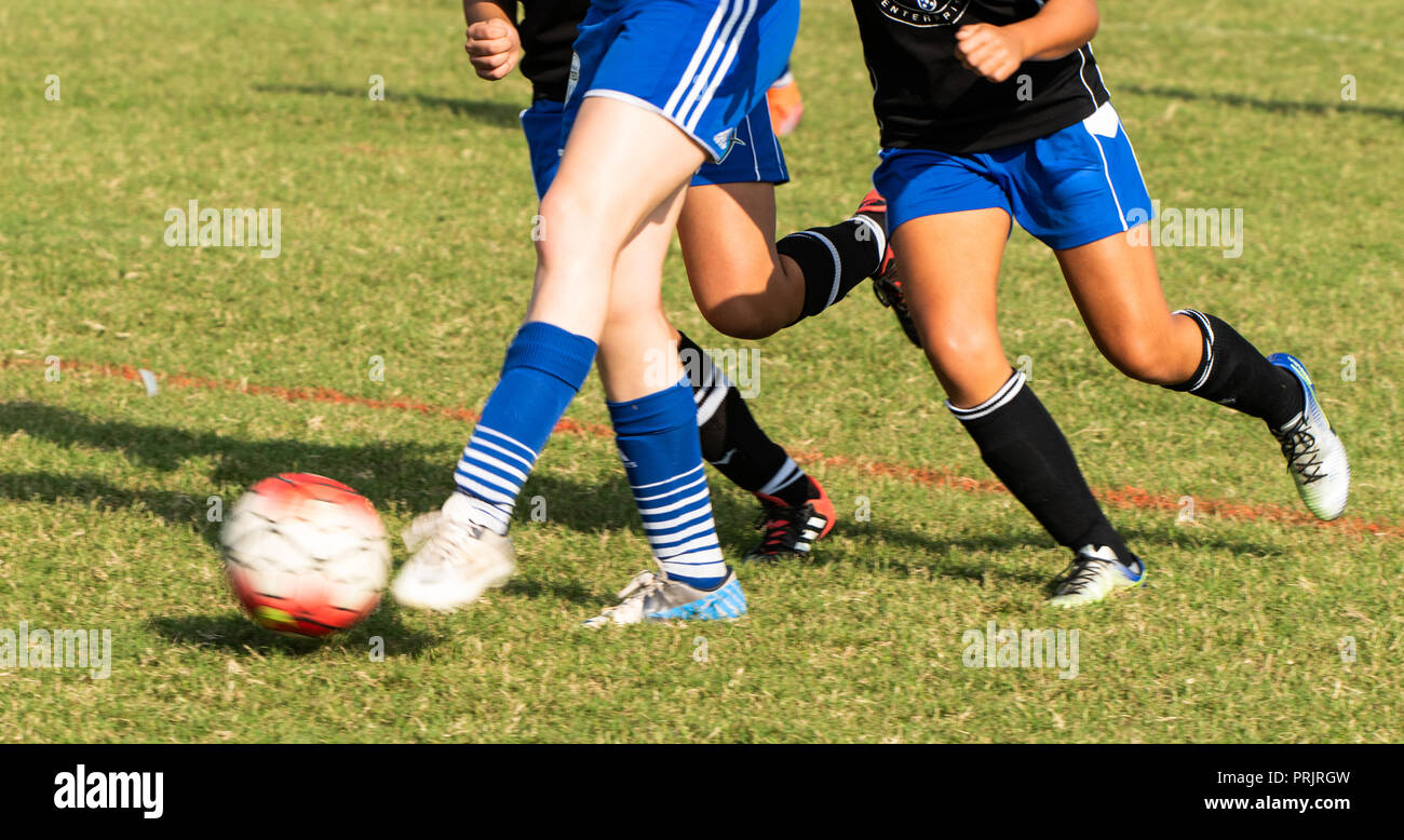 Soccer girl goalie hi-res stock photography and images - Alamy