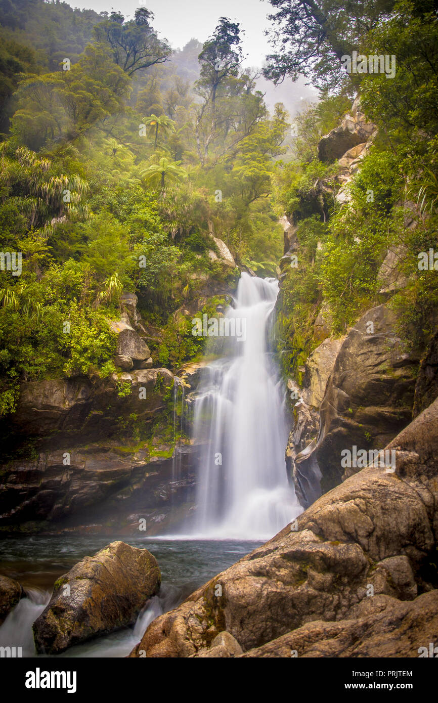 Small River Stream at Wainui Falls in the misty Mountains of Abel ...