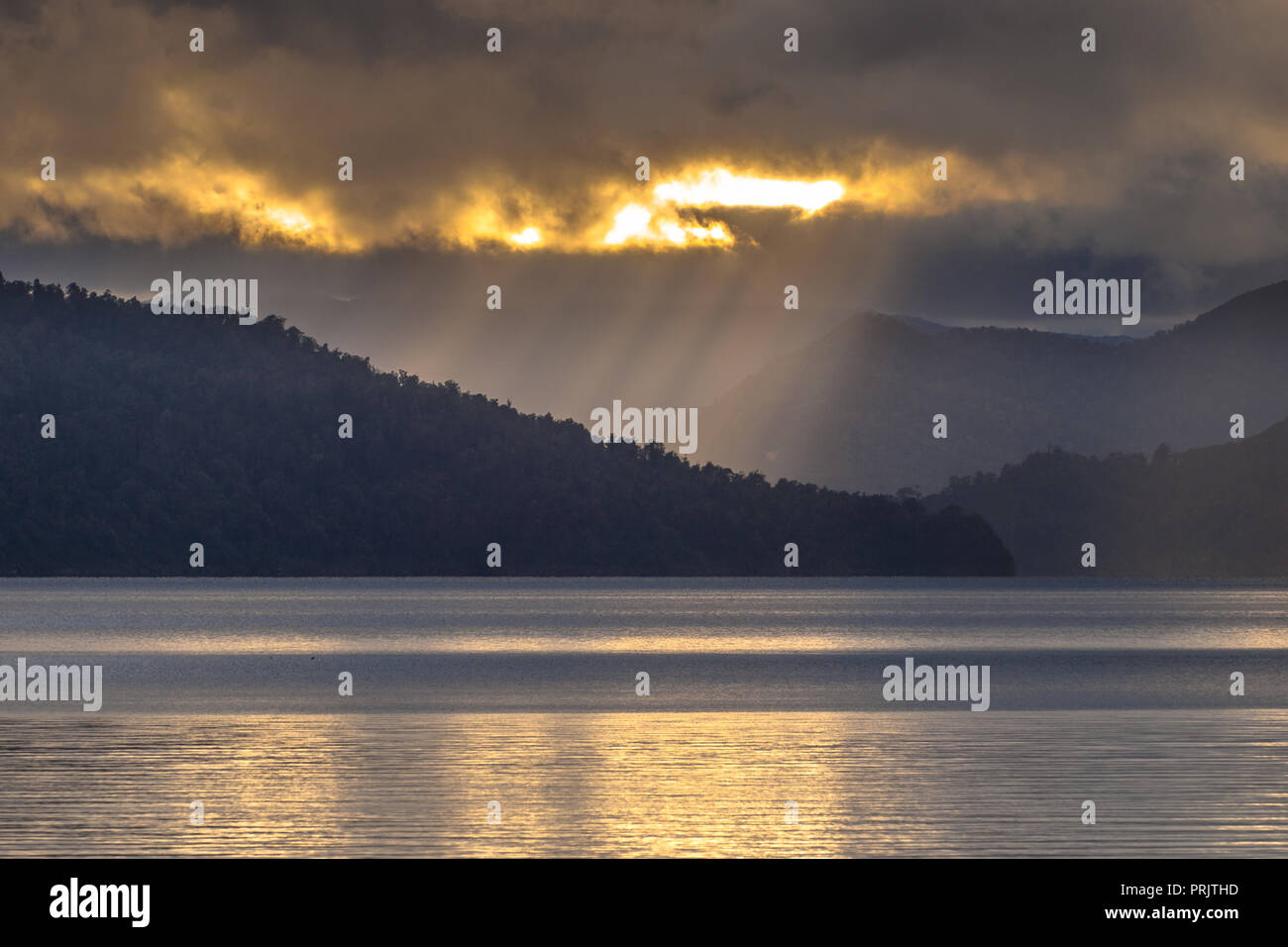 Rays forest new zealand hi-res stock photography and images - Alamy