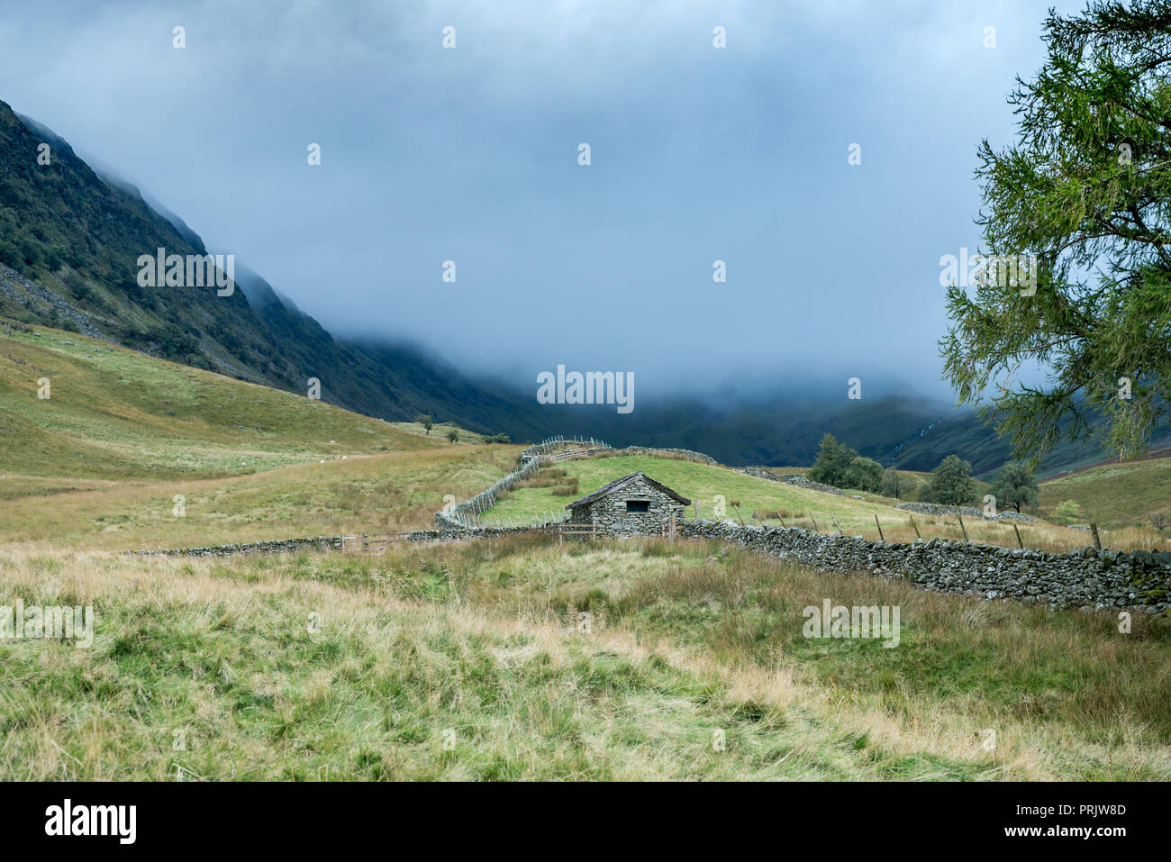 Haweswater Reservoir, The Lake district, Cumbria Stock Photo - Alamy