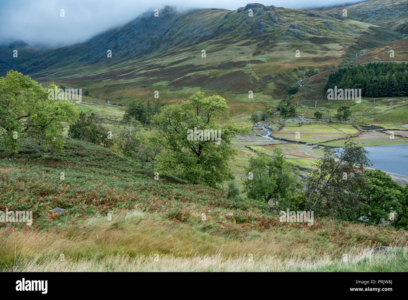 Haweswater Reservoir, The Lake district, Cumbria Stock Photo - Alamy