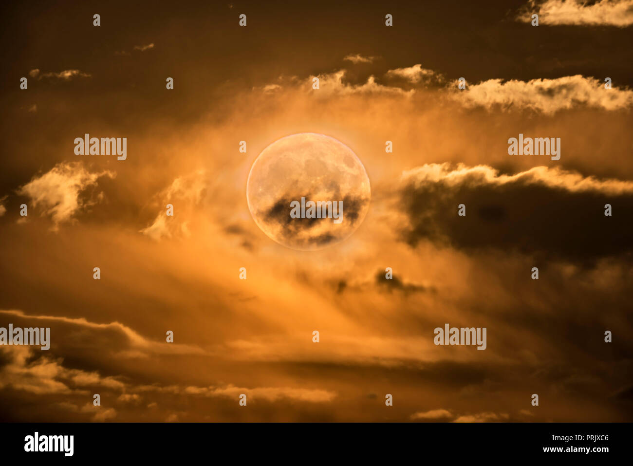 Overly photography hi-res stock photography and images - Alamy