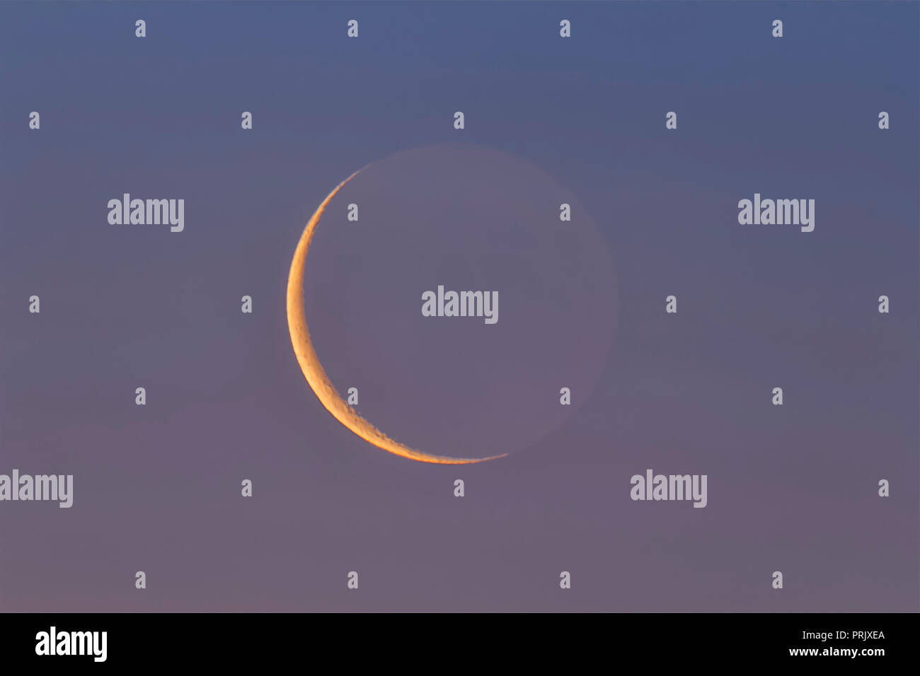 The thin waning 26-day-old Moon low in the dawn sky and reddened from ...