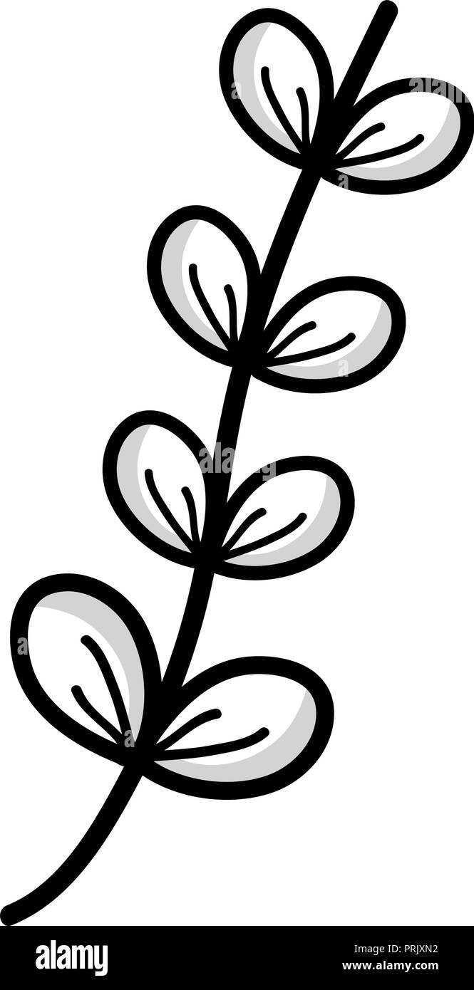 Leaves drawing cartoon Stock Vector Image & Art - Alamy