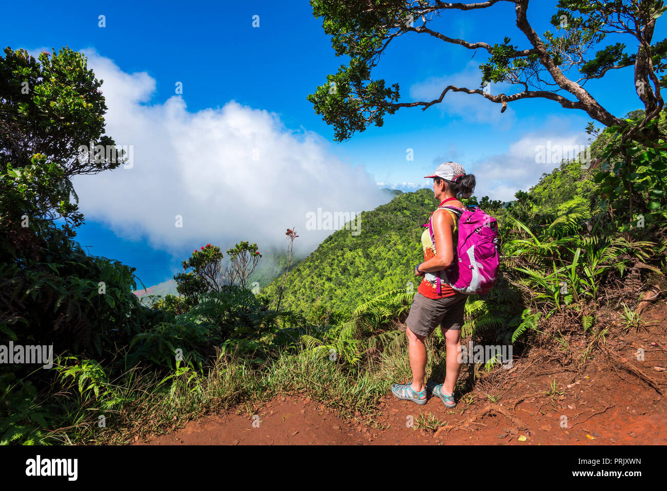 Hiker on the Pihea Trail overlooking the Kalalau Valley, Kokee State ...