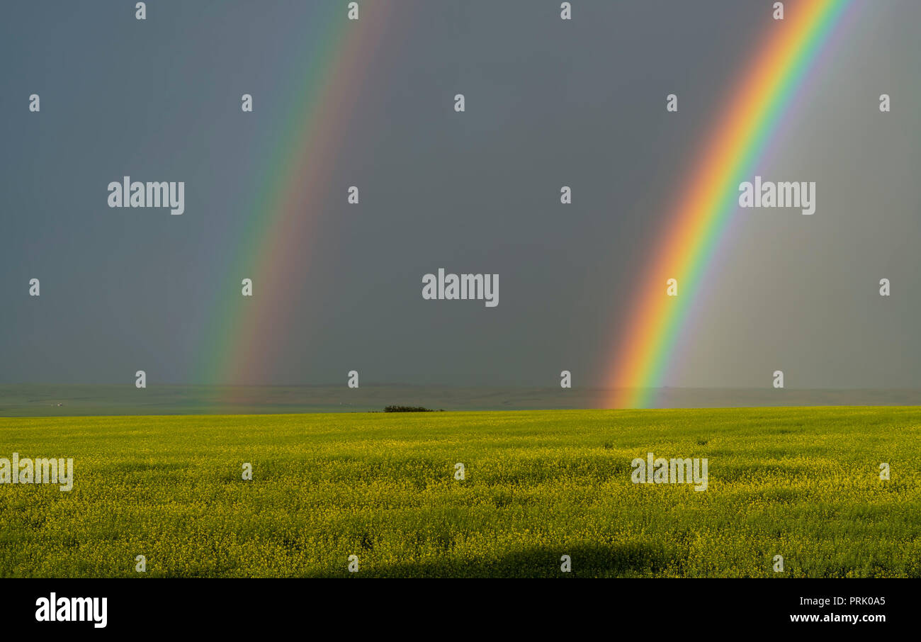 Bright photos of outer space hi-res stock photography and images - Alamy