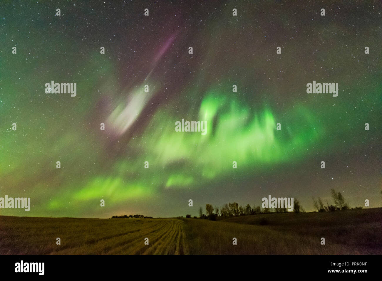 The aurora display of September 27, 2017, from home in southern Alberta ...