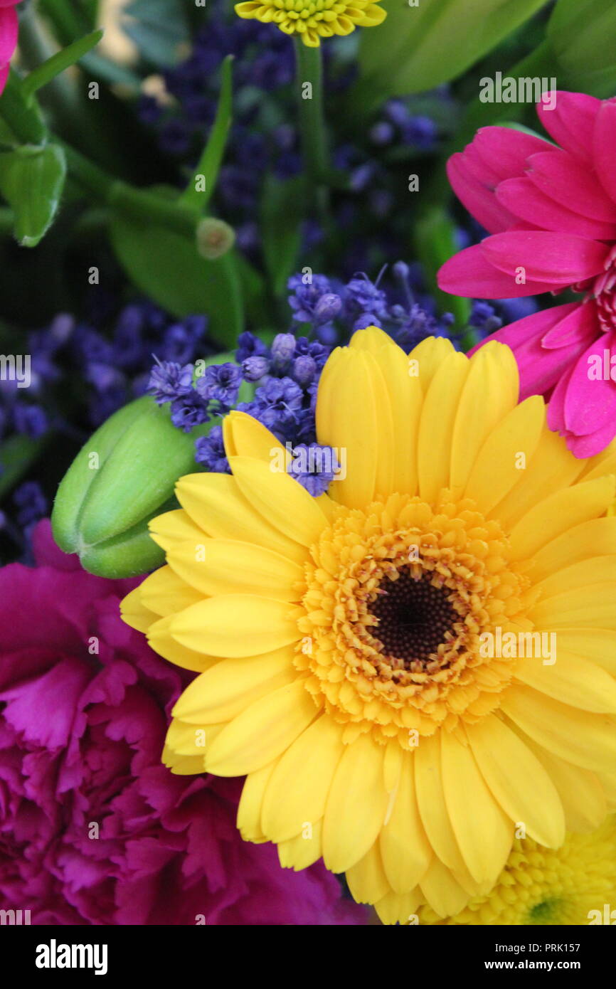 Colourful flower bouquet hi-res stock photography and images - Alamy