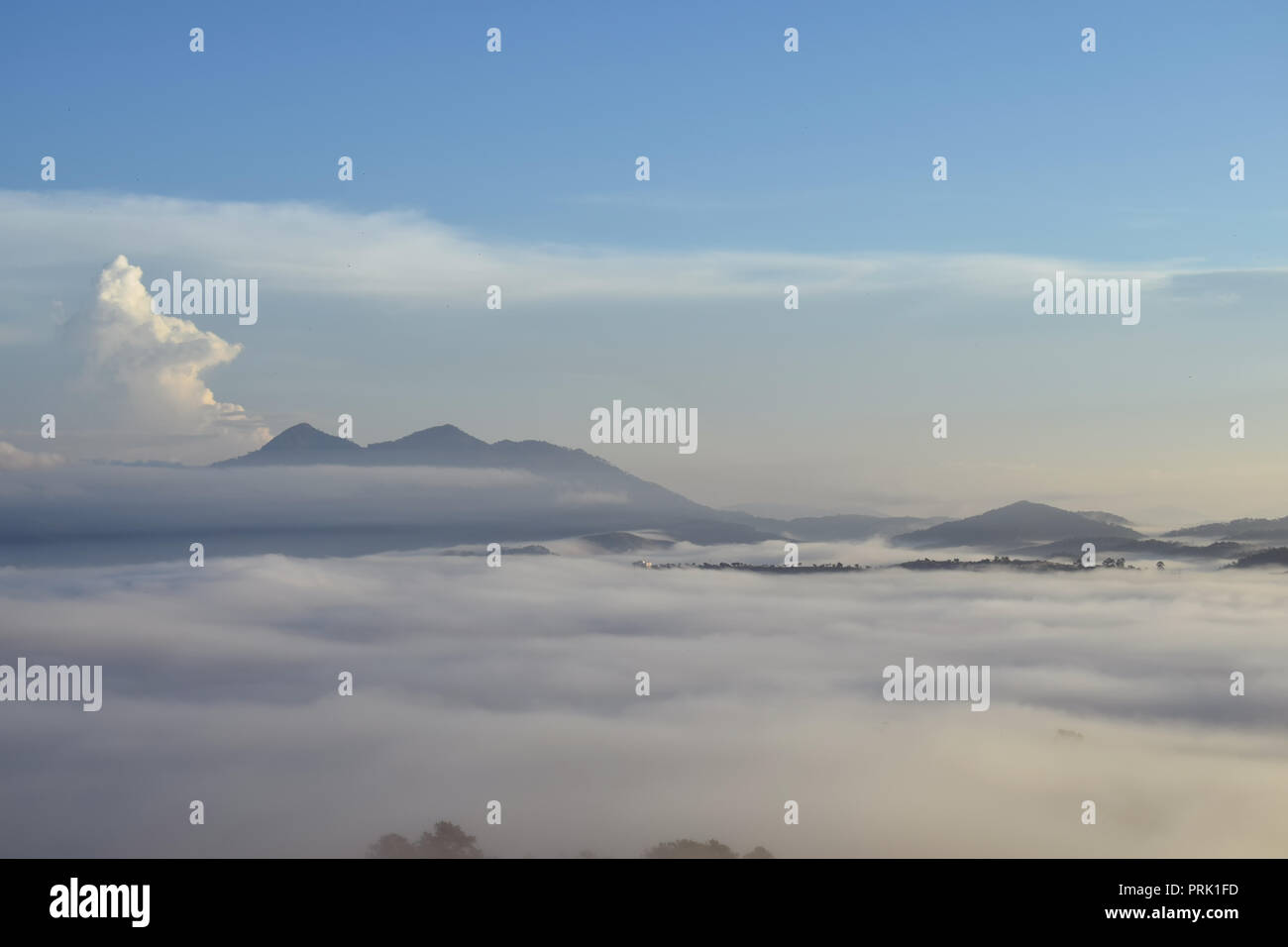 The fog cover Dalat plateau lands, Vietnam, background with magic of ...