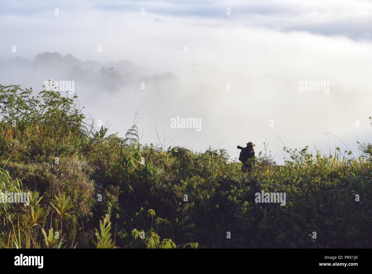 The fog cover Dalat plateau lands, Vietnam, background with magic of ...