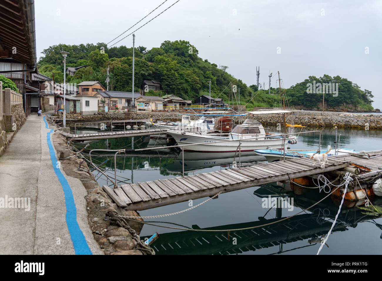 Aoshima hi-res stock photography and images - Alamy