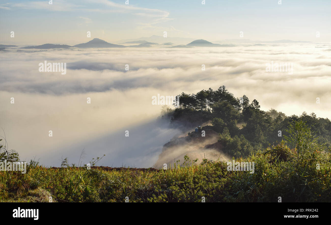 Air freedom hi-res stock photography and images - Alamy