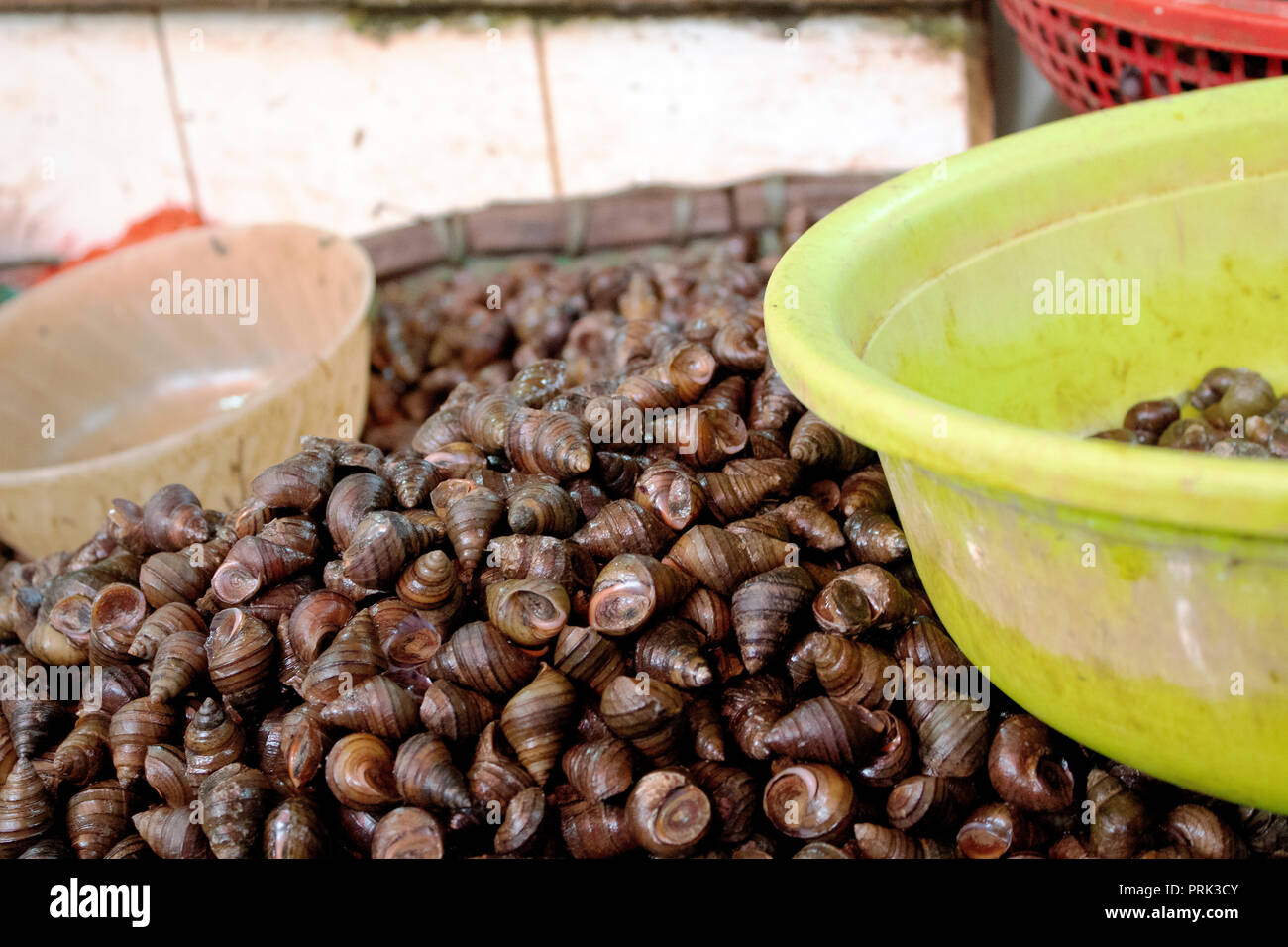 Pile of snail shells in local market Stock Photo - Alamy