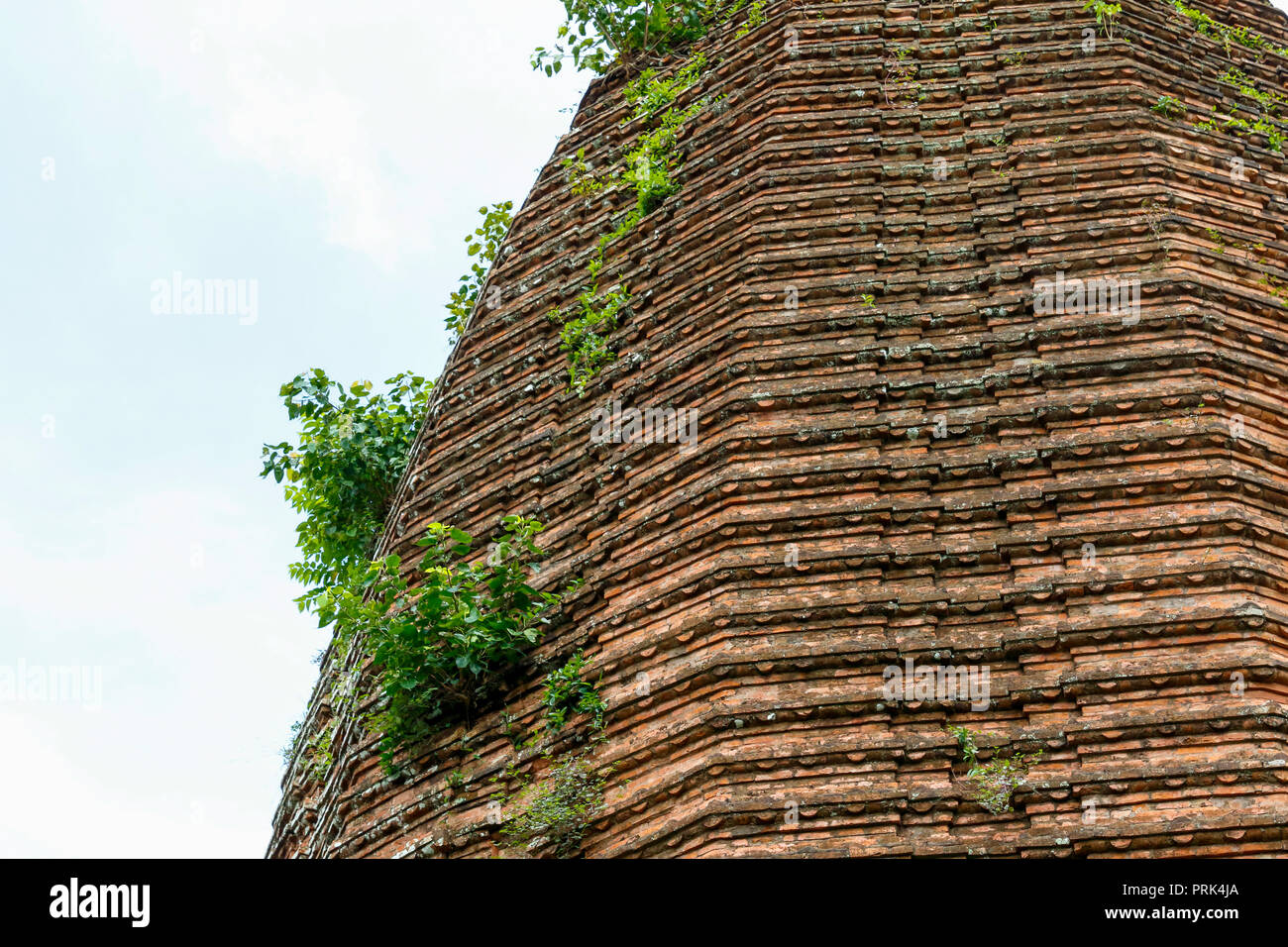 Parasites plaguing the archaeological beauty of Mathurapur Deul, a ...