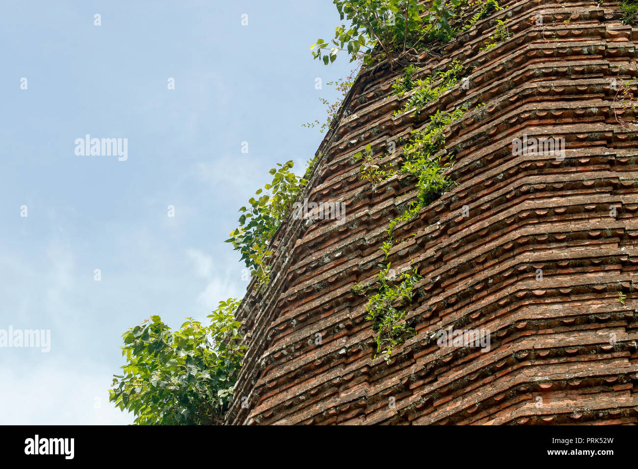 Parasites plaguing the archaeological beauty of Mathurapur Deul, a ...