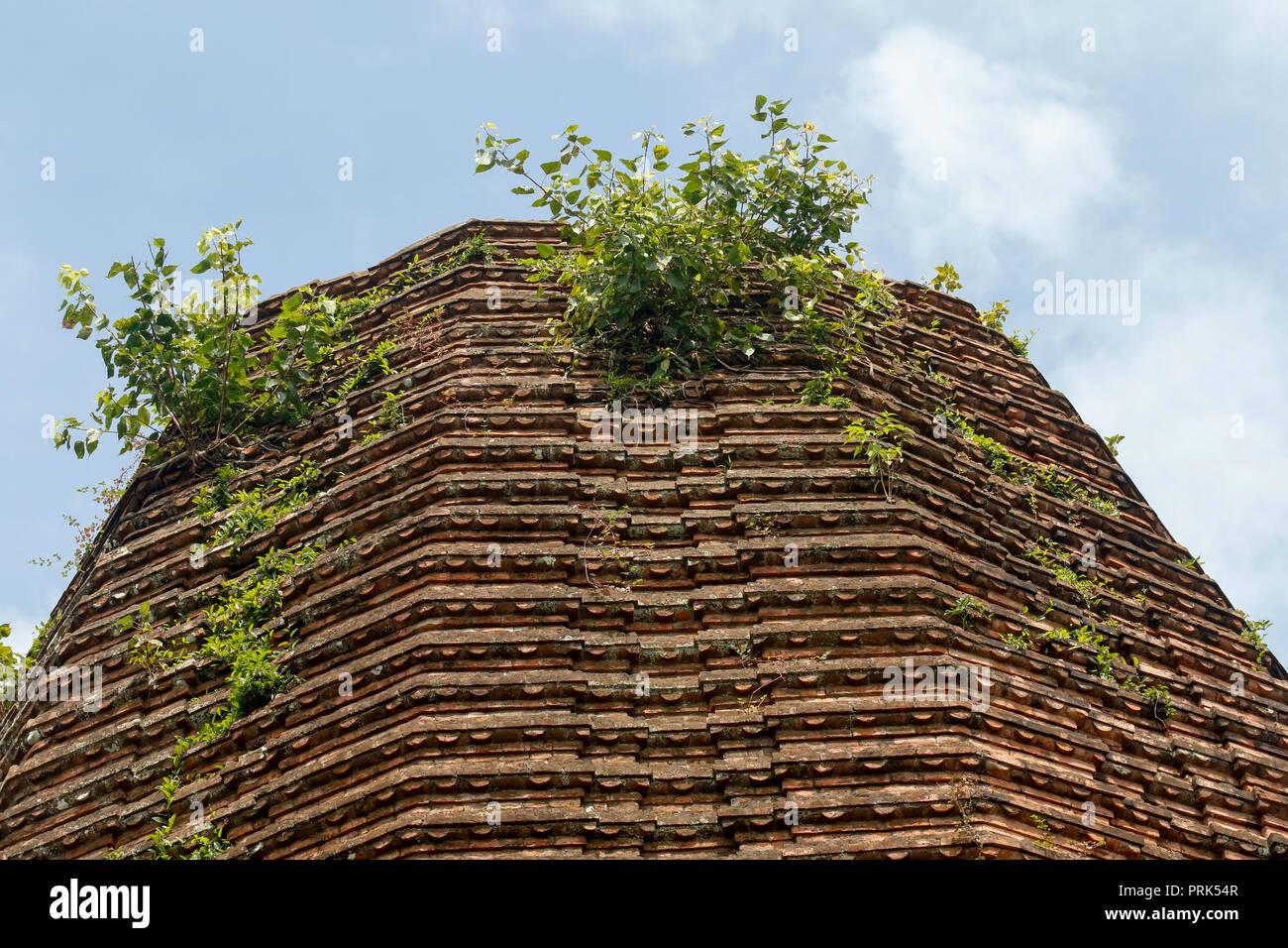 Parasites plaguing the archaeological beauty of Mathurapur Deul, a ...