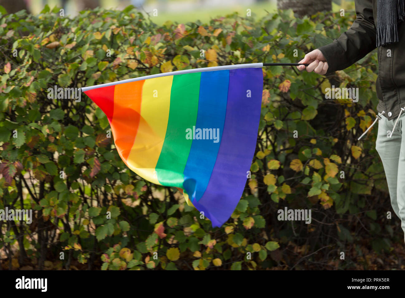 Person Carrying Rainbow Flag Stock Photo - Alamy