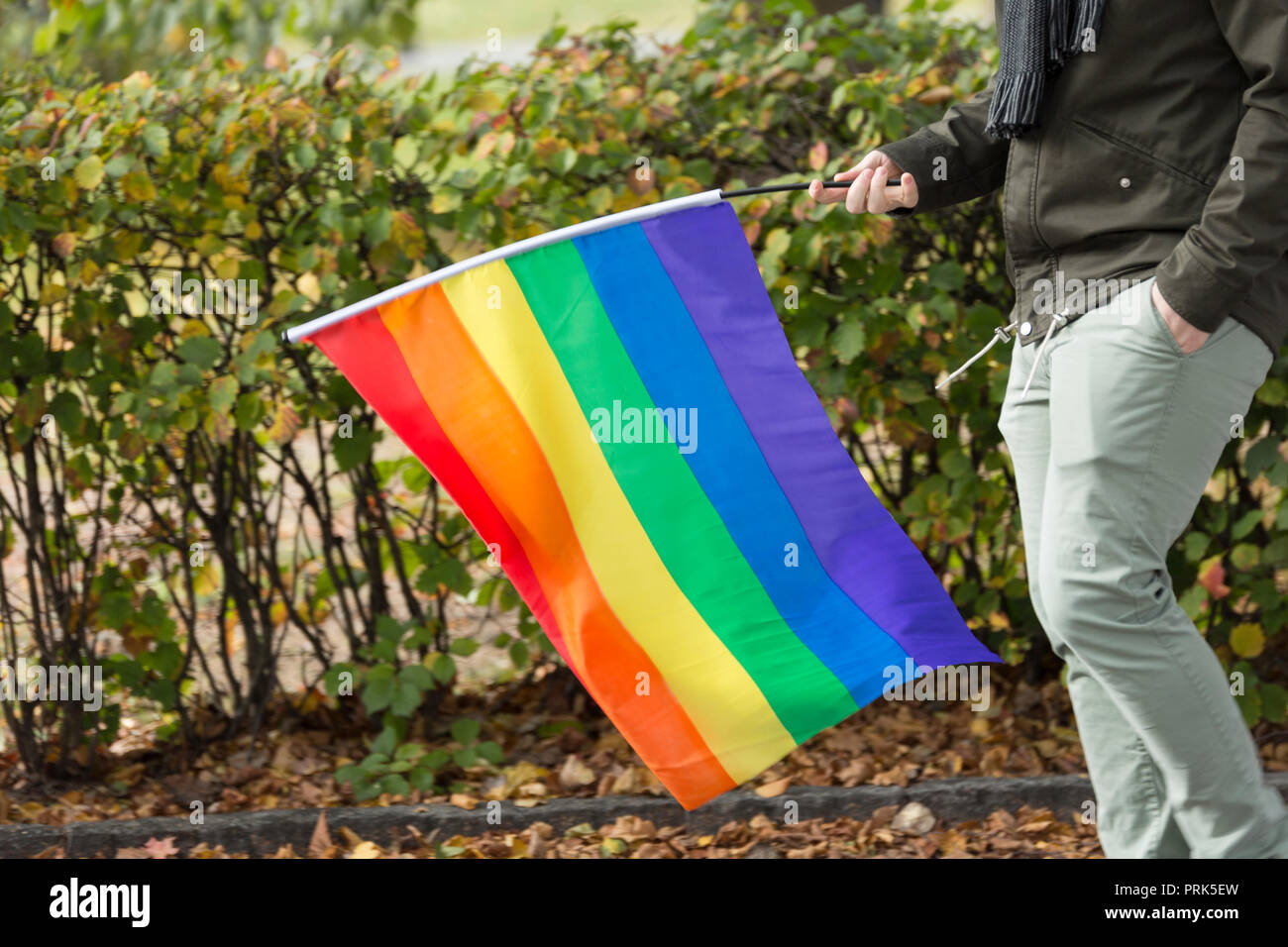 Person Carrying Rainbow Flag Stock Photo - Alamy