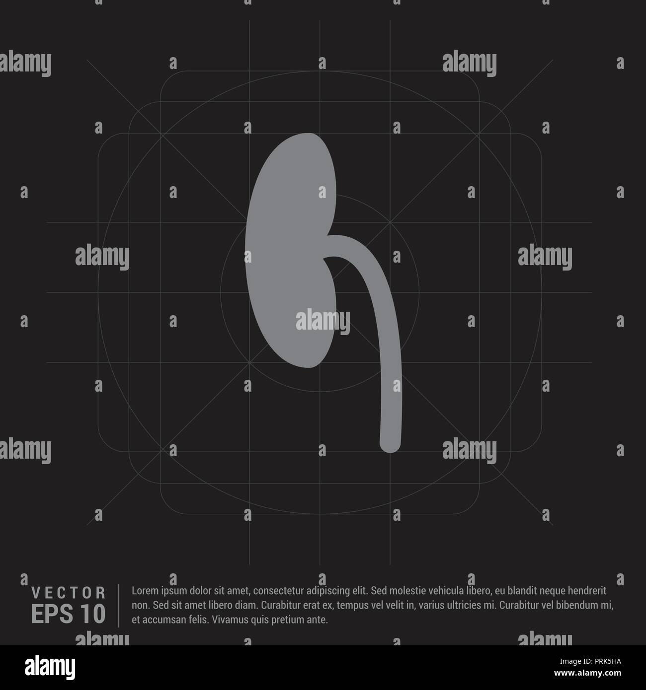 Kidney failure transplantation hi-res stock photography and images - Alamy
