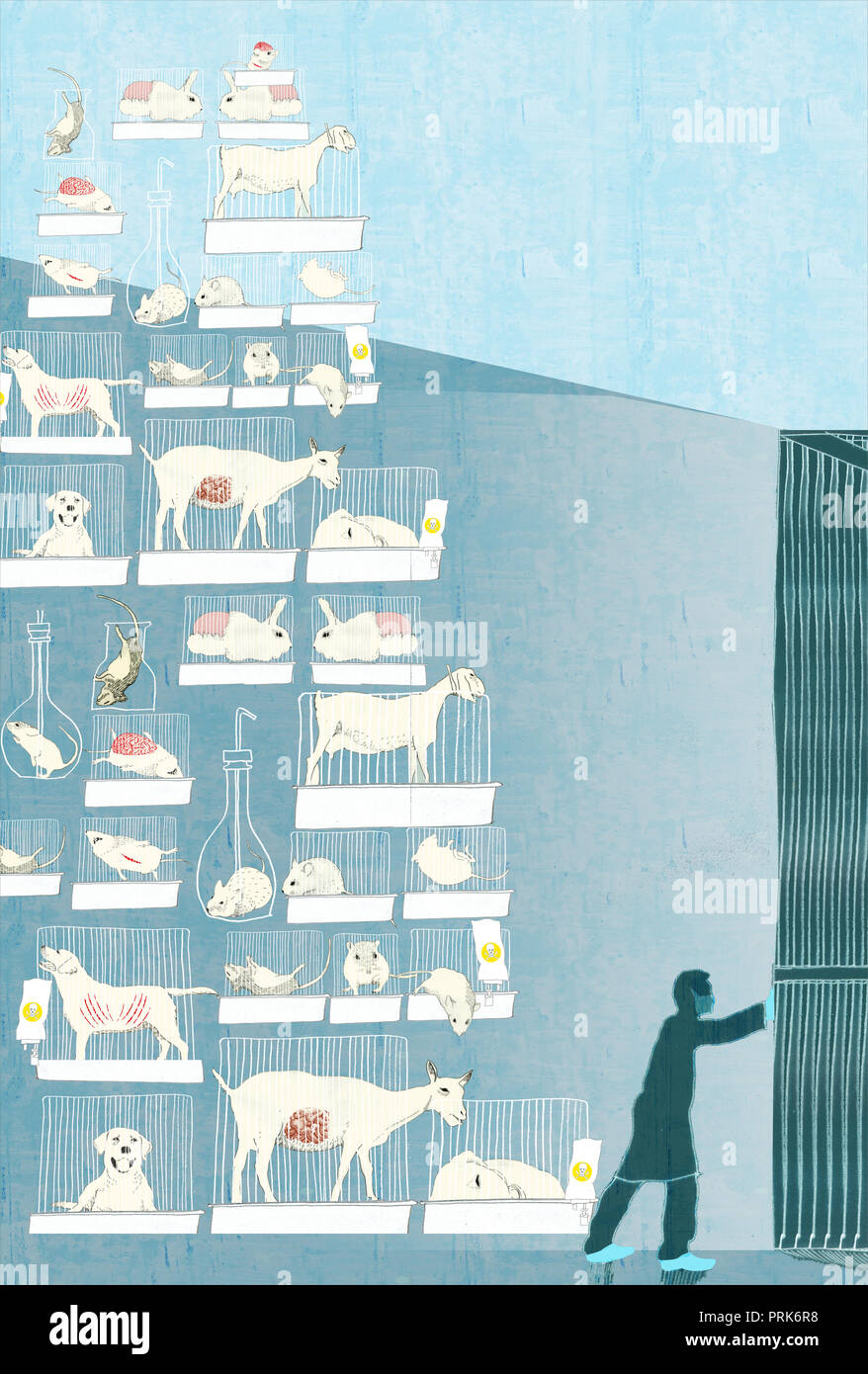 Animal testing cage hi-res stock photography and images - Alamy