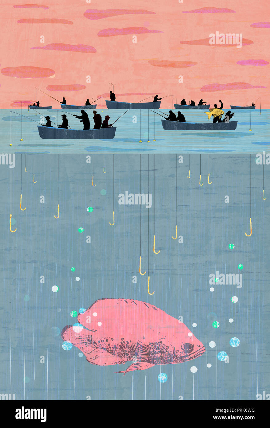 Groups of fish hi-res stock photography and images - Alamy