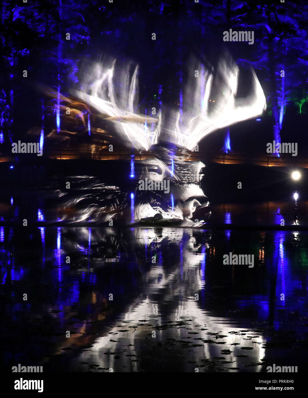 Animal animations are projected onto a water fountain in Loch Dunmore ...